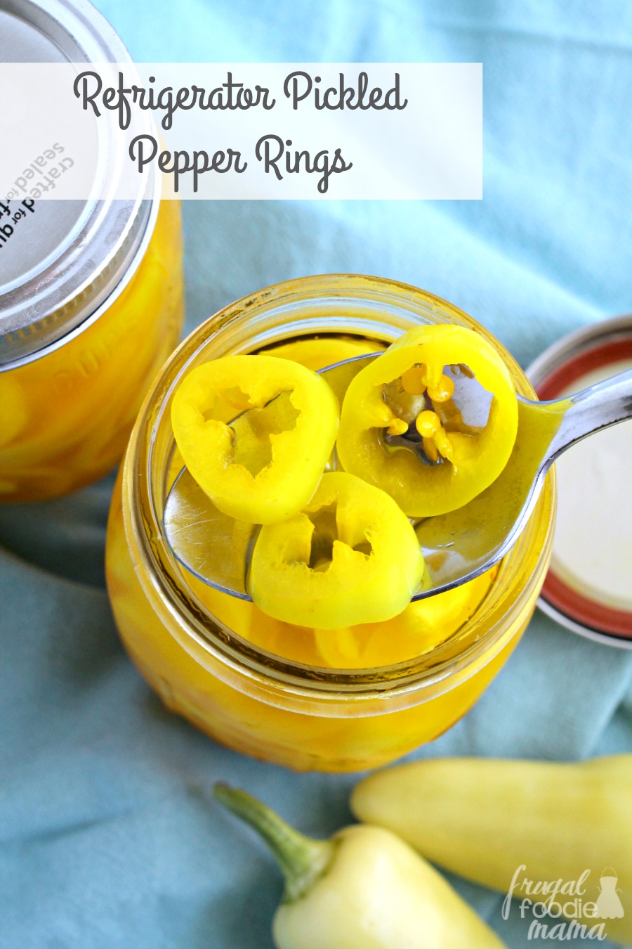 Wickles Pepper Rings Recipe | Bryont Blog
