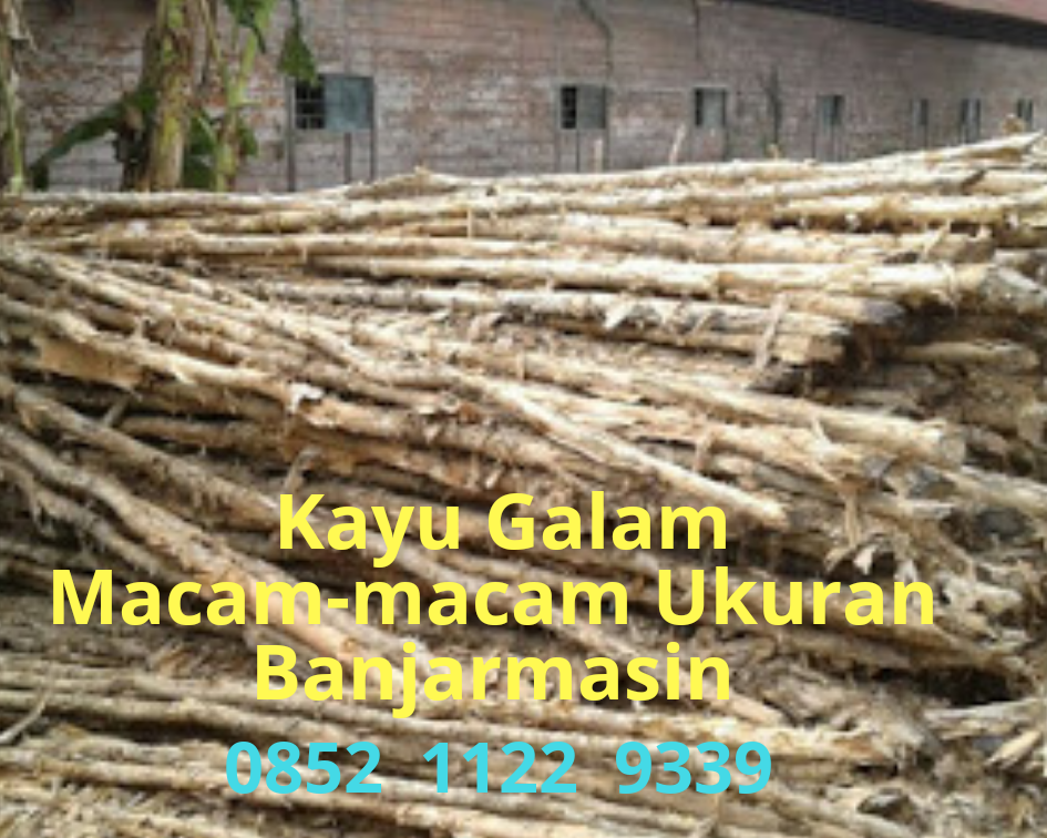 JUAL KAYU GALAM MURAH!!!!...UNTUK BANGUNAN BANJARMASIN, BERAPAPUN ...