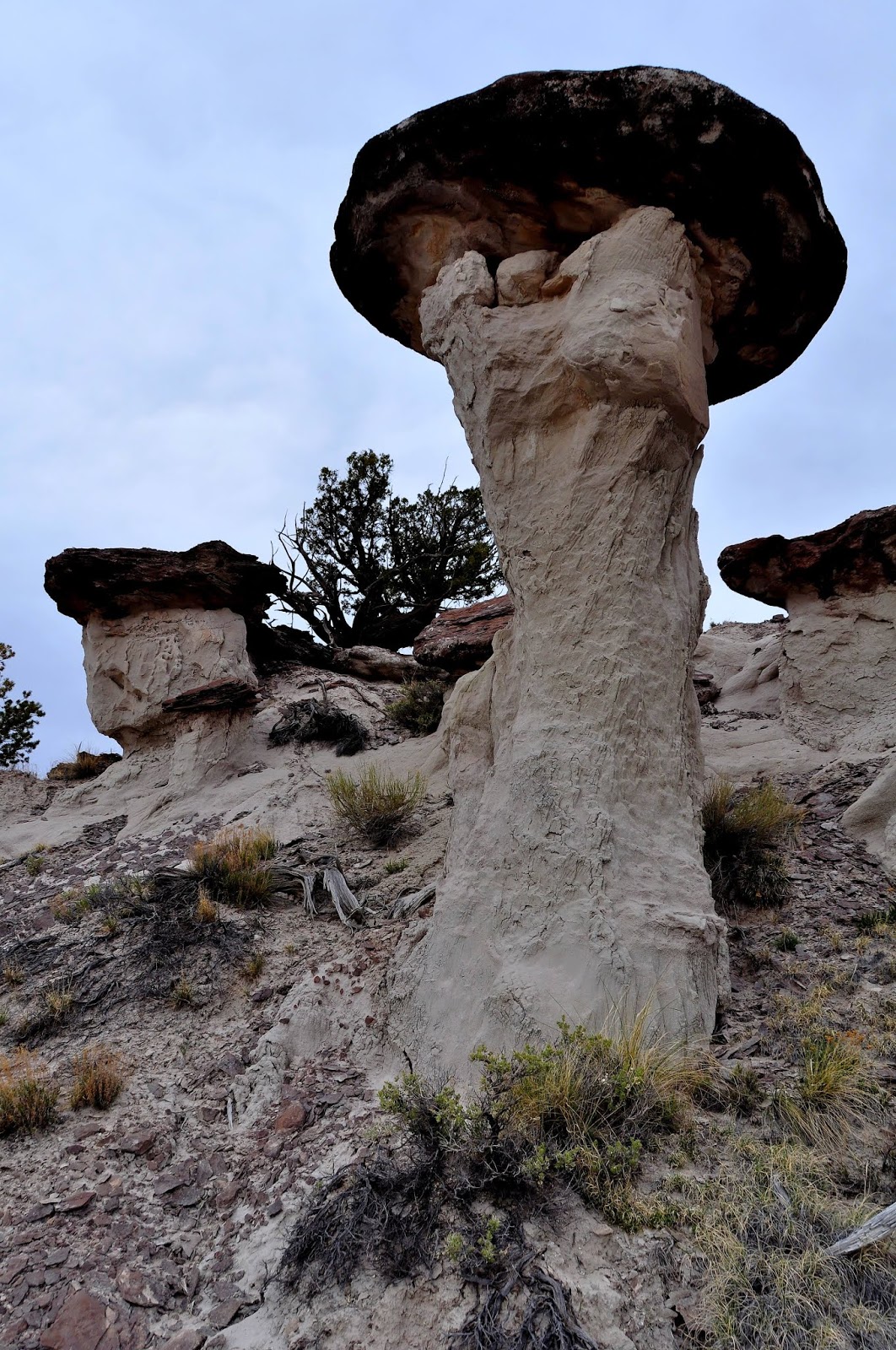 Les voyages de Michèle et Jean-Michel: Lybrook Badlands