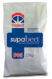 Little Pet Pigs: February 2012