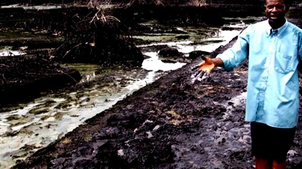Environmental issues in the Niger Delta