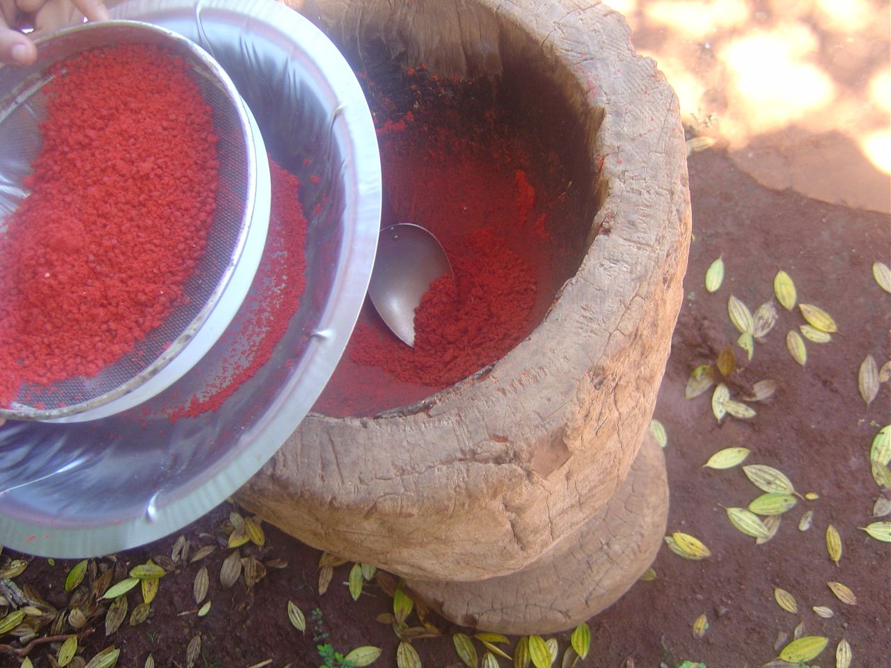 Urucu - Bixa orellana