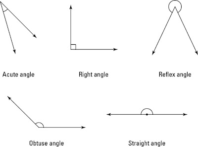 Physical Science and Math: Basic Concepts of Geometry