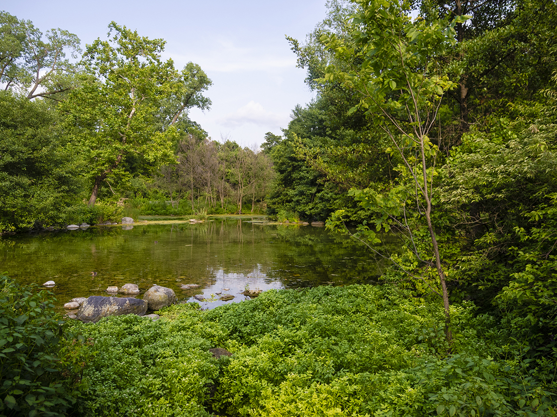 UW Arboretum Hiking Trails