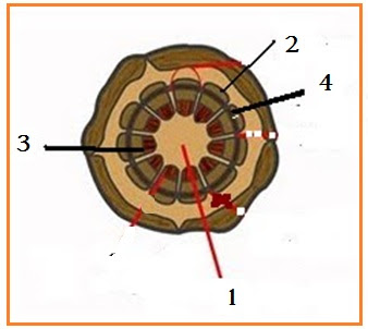PERSIAPAN UJIAN BIOLOGI XI | Beriman,Berilmu,Berakal