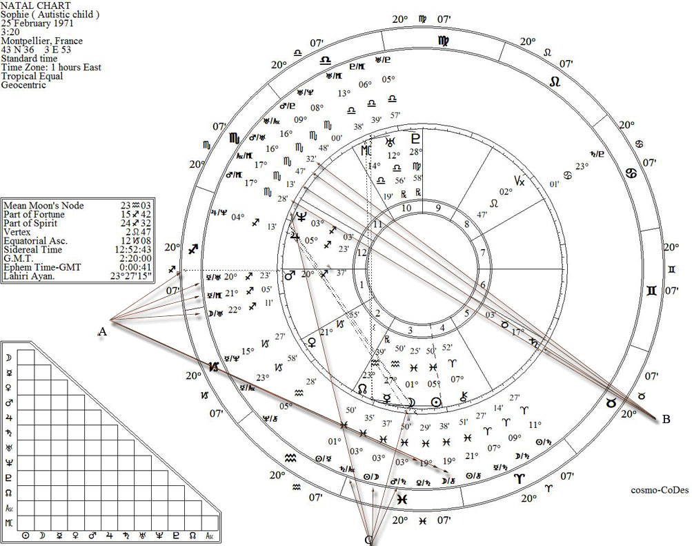 Cosmo-CoDe: Case of Autism ( Sophie )