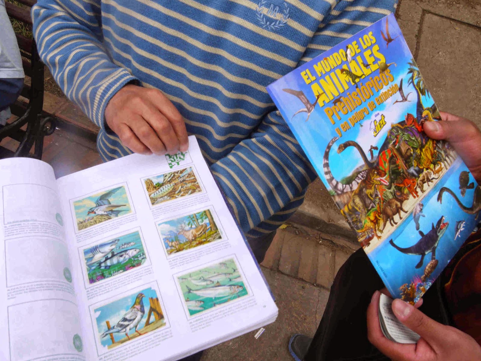 Mike's Bogota Blog: The Jet Collectors