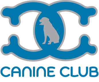 Brewster's Bites: Canine Club NYC