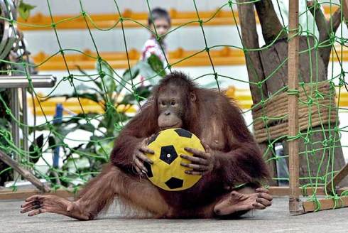 ¡A tu Salud!: abril 2012