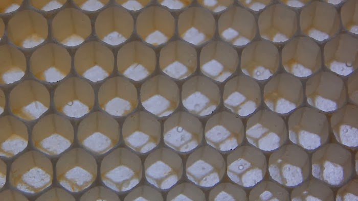 PČELARSKI ŽURNAL: PČELINJE GNEZDO: IZGRADNJA, IZOLACIJA I ZAGREVANJE