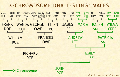 The Lineal Arboretum: Phasing the X-Chromosome