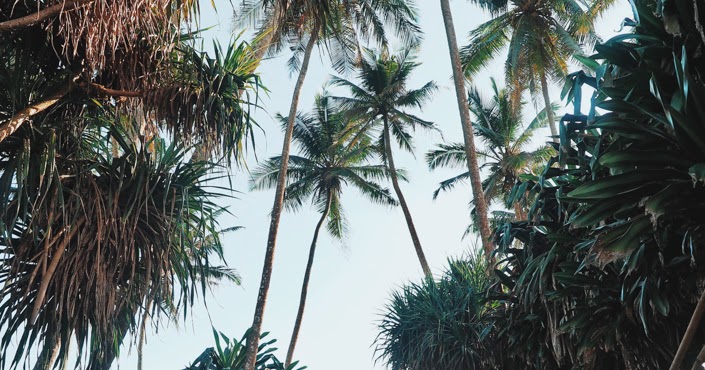 SRÍ LANKA | Měsíc v ráji! | A Cup Of Style