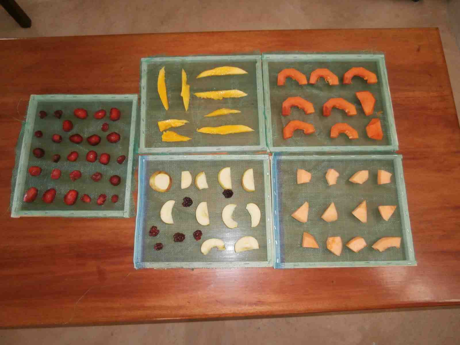 Oaxaca: Solar Fruit Dehydrator.