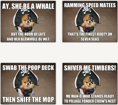 Meme and other LOL: Inappropriate Sexual Innuendo Dog That Talks and ...