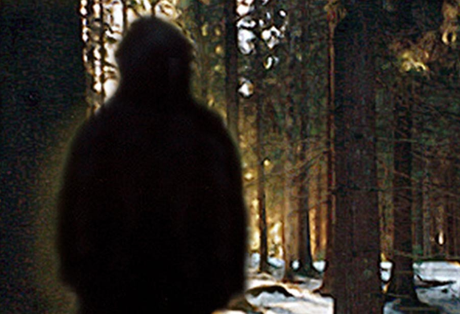 Twelve Weird Facts About Bigfoot You May Not Know ~ The Crypto Crew