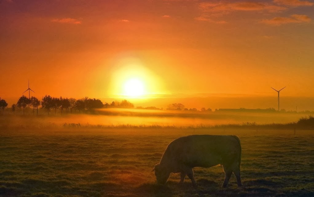 fotografie corina magielse: 13 november met vorst, zonnig weer,wat ...
