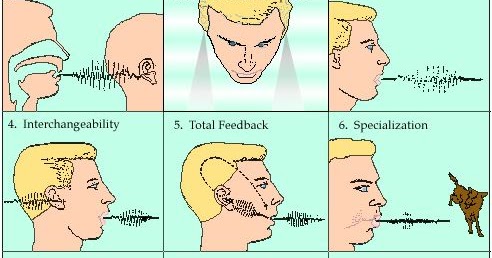 duniaku dalam rangkaian kata: the features of human language