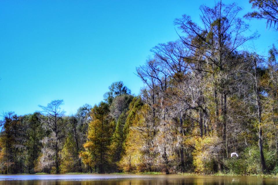 Kints: The Unfathomed: Big Swamp and Big Lake, 22 November 2015