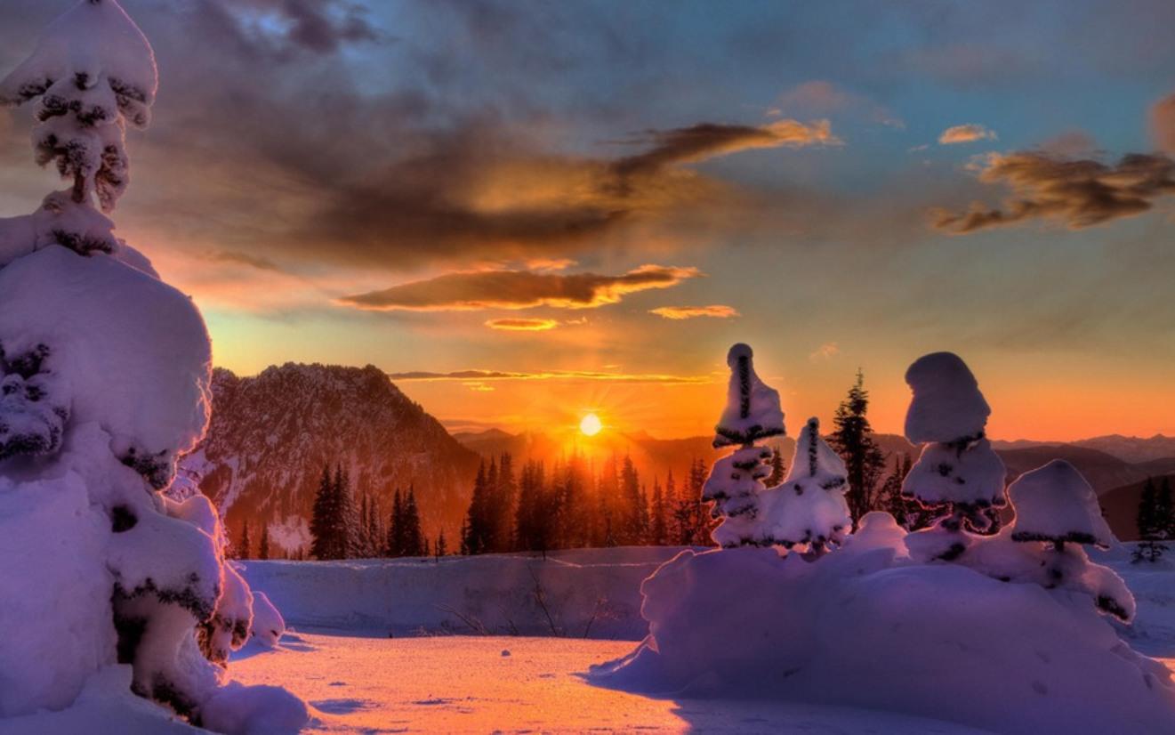 Cores, Natureza e Vida: Inverno