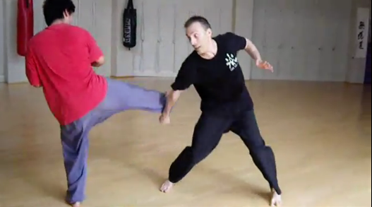 Low "blocks" against kicks - are they ridiculous?