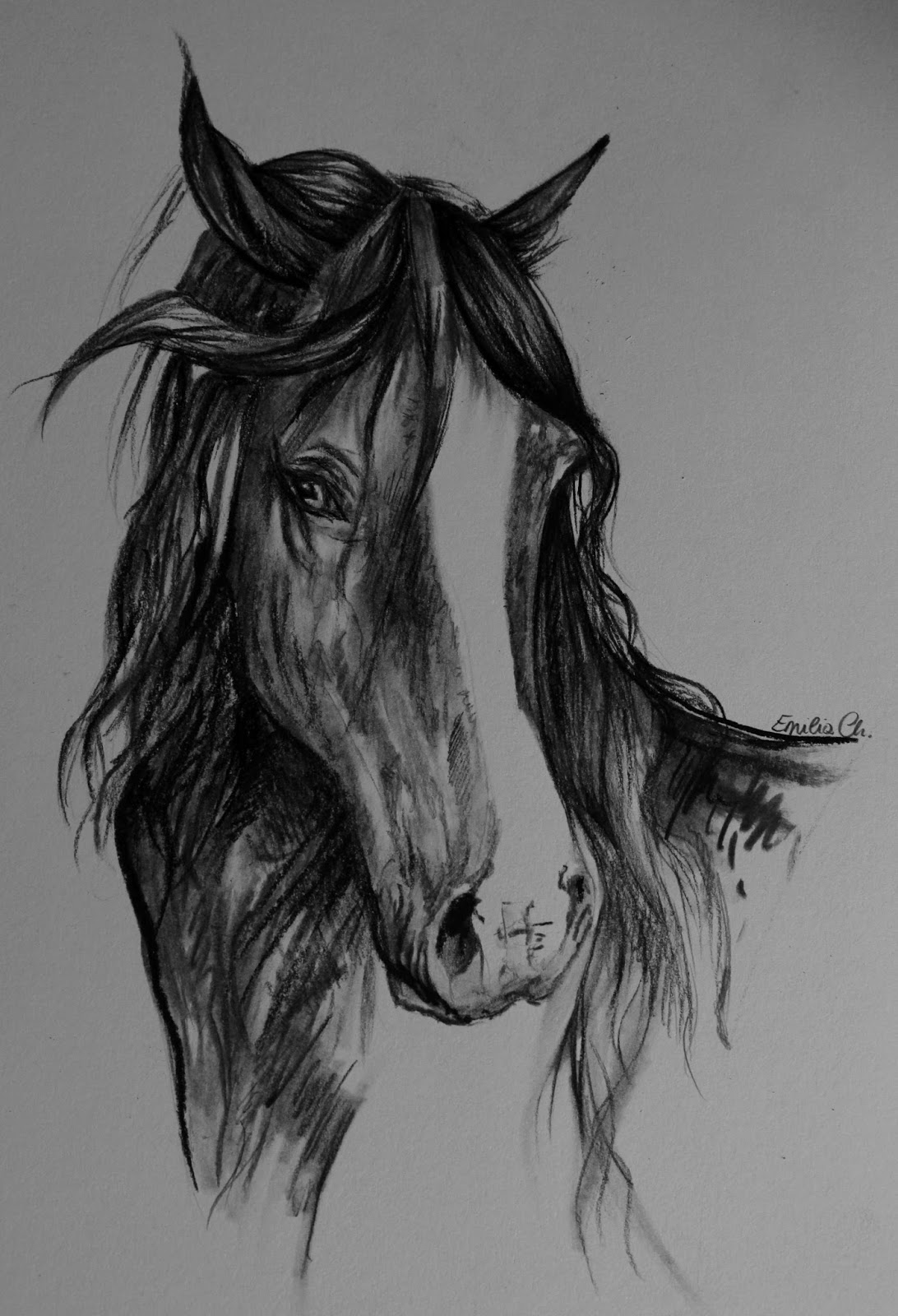 Koń- rysunek hiperrealistyczny węglem | Emilia Chlipała- blog o rysowaniu