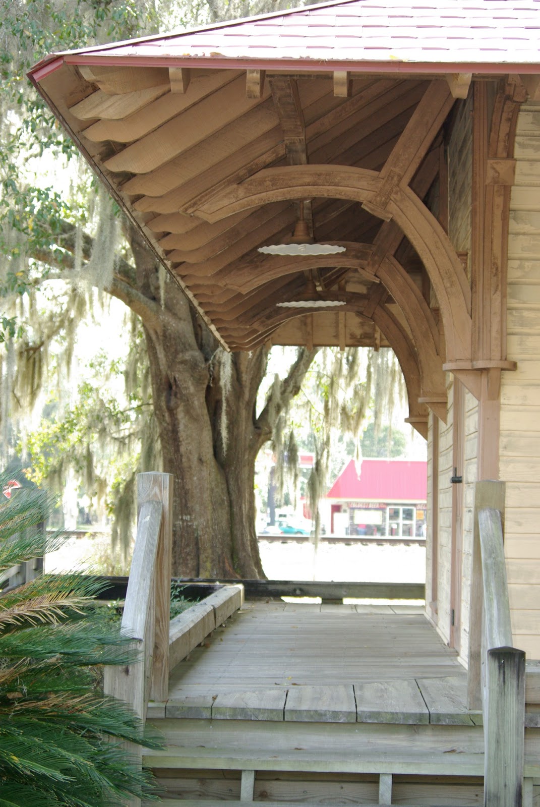 Robbin Neff Photography