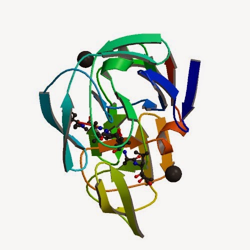 PENYAKIT HIV AIDS | Nabiungkangkung