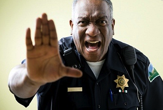 Murder is Everywhere: Miscellaneous and then some