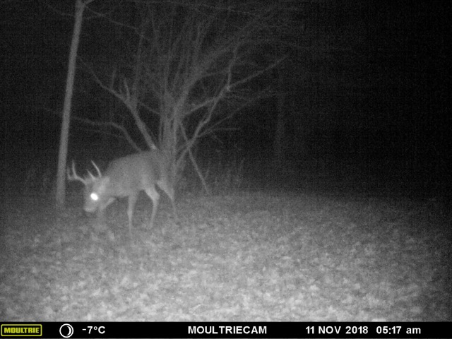 Cottage Country Reflections: Happy Birthday JB!