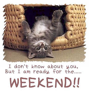 The Presurfer: Is It Weekend Yet?