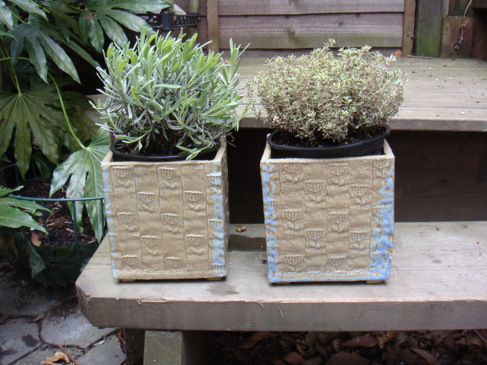 amy mae ceramics: Amy Mae Ceramics @ Lambeth Country Show