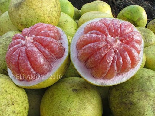 Spesial 49+ Gambar Mainan Dari Kulit Jeruk Bali