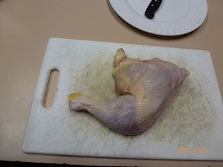 BIO156: Chicken Leg Dissection