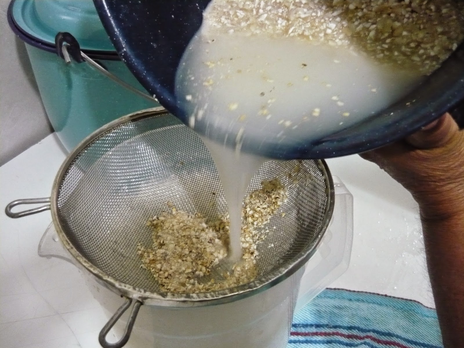 ATOLE DE GRANILLO | ~Honey home~