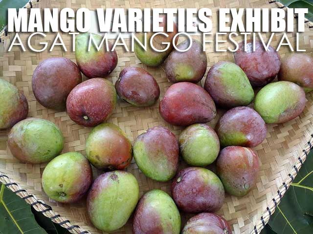 Guam: Agat Mango Festival, Santa Rita Fiesta & more Guam events | Ivan ...