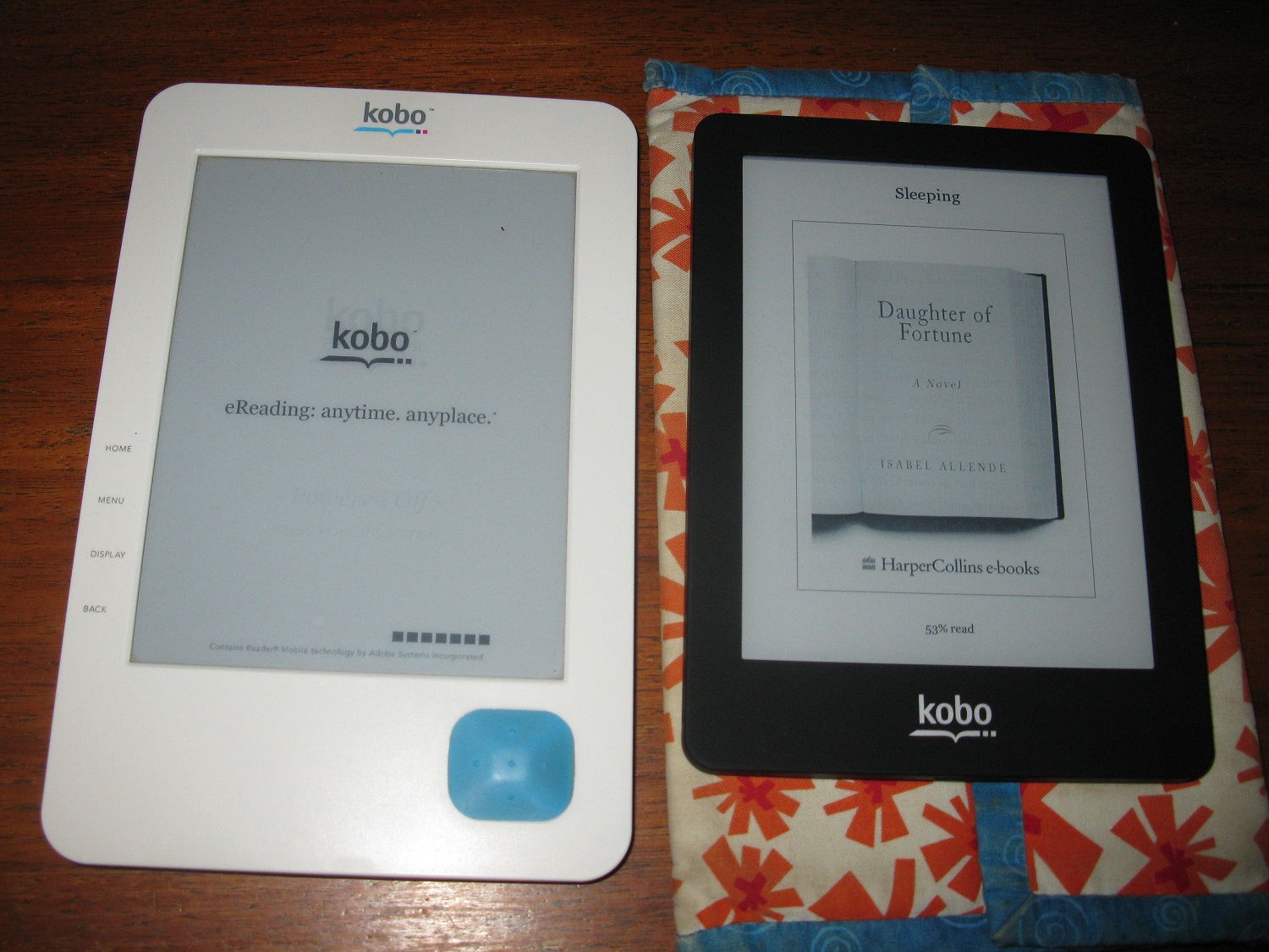 Vireya's Blog: The Old and the New