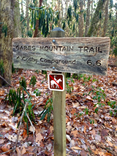 900 miles: Maddron Bald and Albright Grove Loop Trails