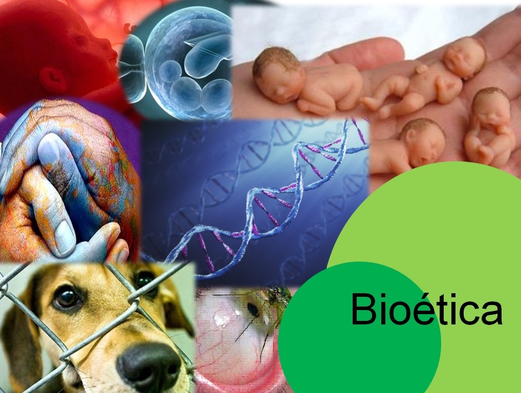 Vlach Apodaca Ana Rosa 211, PFLC, Ética y valores II: Collage sobre ...