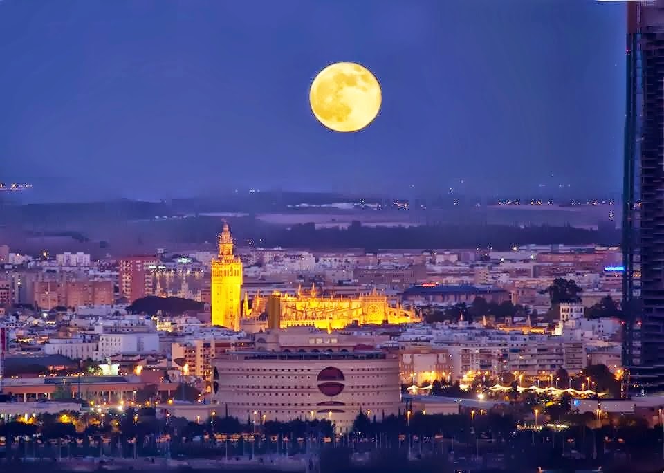 Hot content from the web