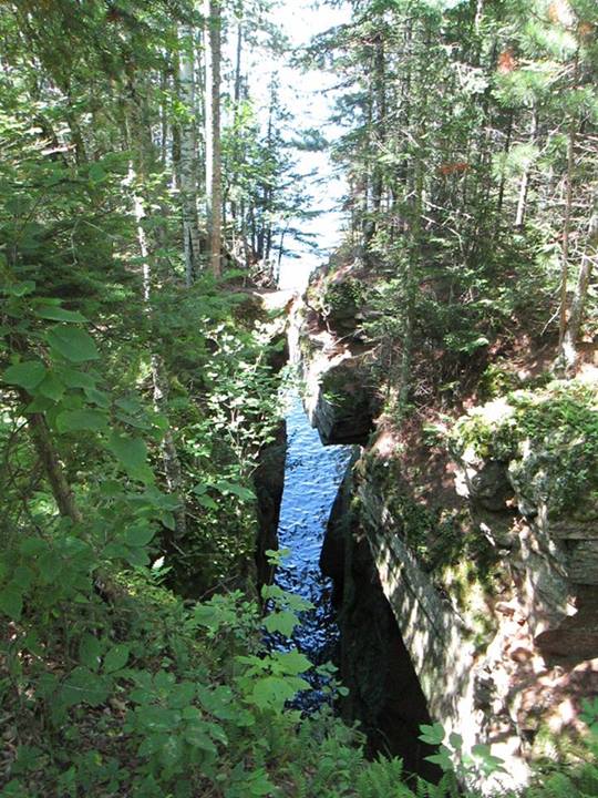 The Wild Reed: Days of Summer on the Bayfield Peninsula