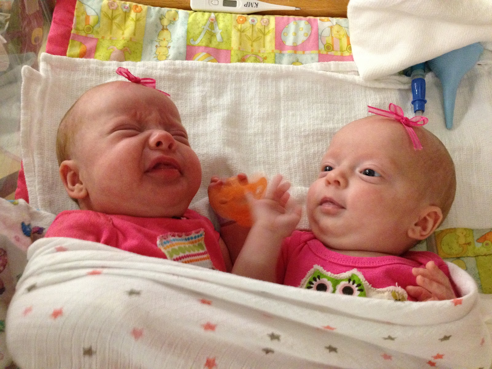 The Pair of Scates: 13 Weeks in the NICU and Funniest Twin Pics (So Far)