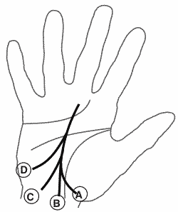 KC - ASTROLOGY: Fate Line In Palmistry