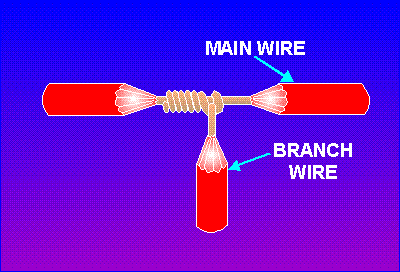 CHS Practice: Activity IV