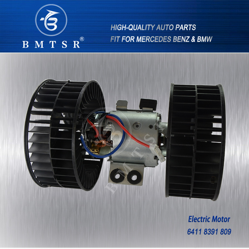 BMTSR home: Electric Motor