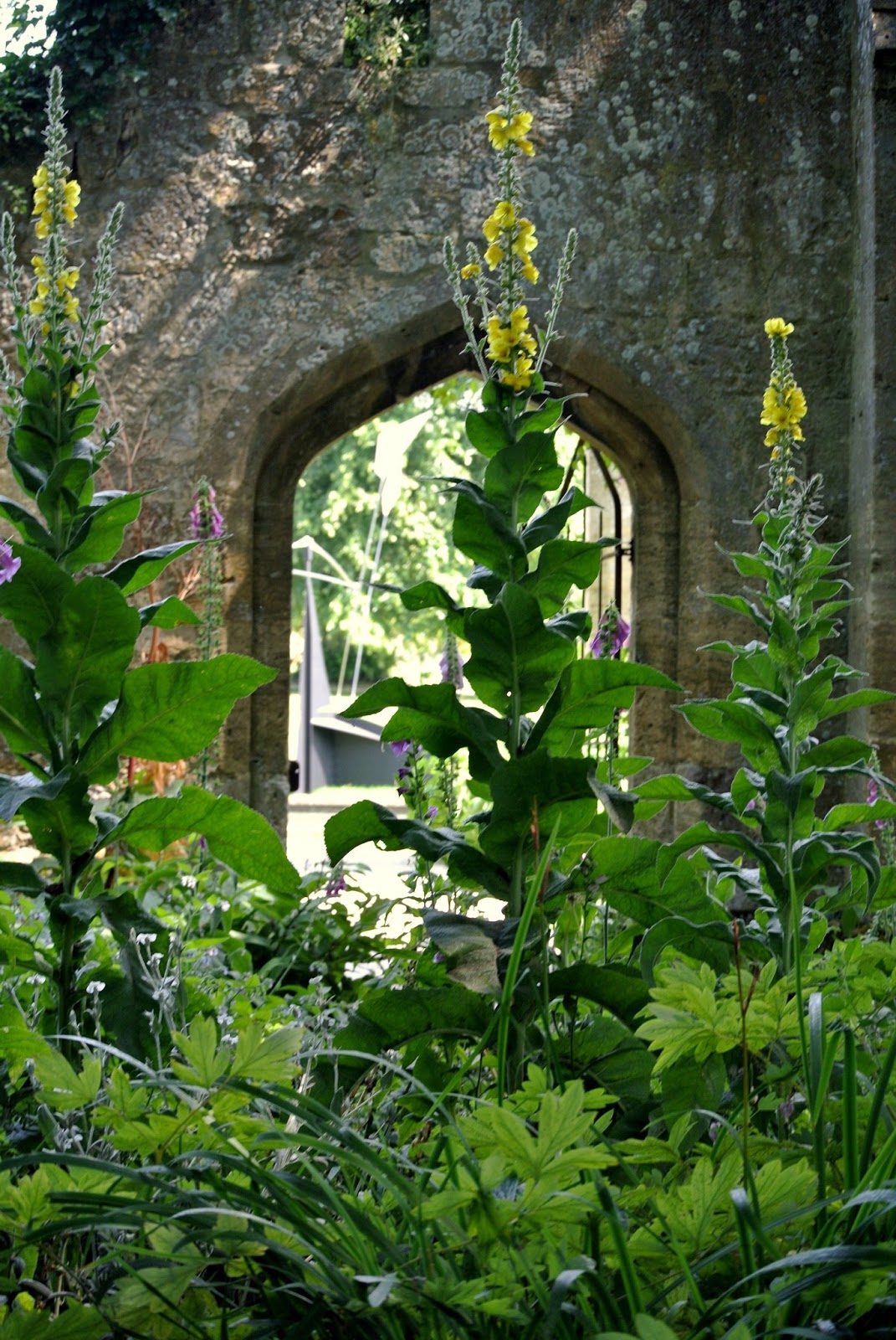 HAVETID: Engelske haver 4. del.