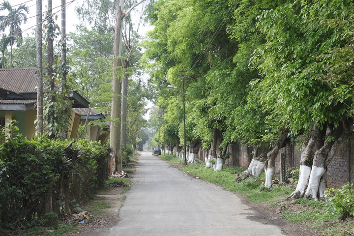 The Duliajan Chronicles: The Badminton Days | Transcendental Tech Talk