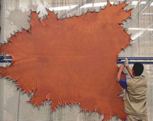 BRASCAPI: A história do couro