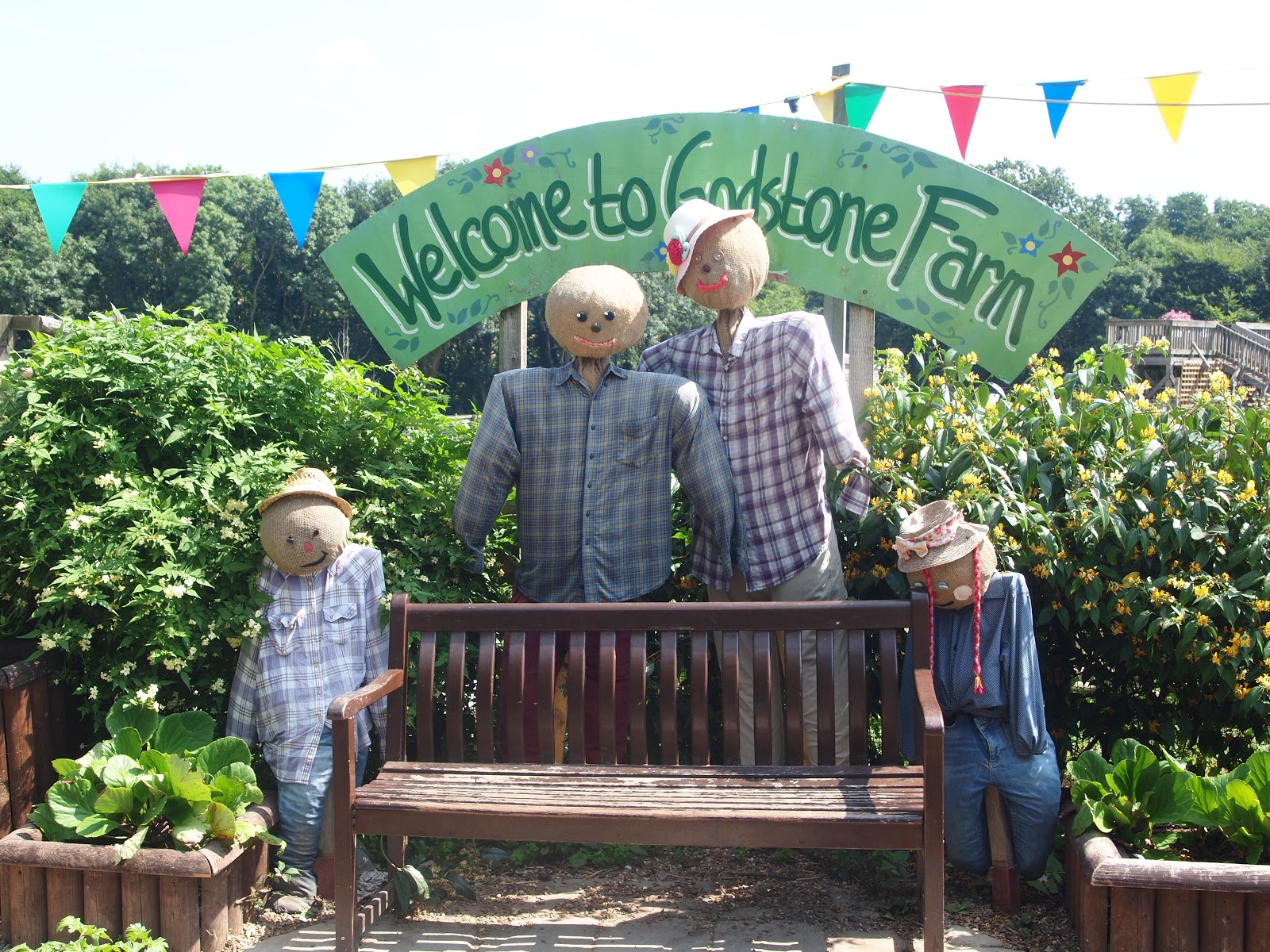 Mrs Bishop's Bakes and Banter: Family Days Out: Godstone Farm (Surrey ...