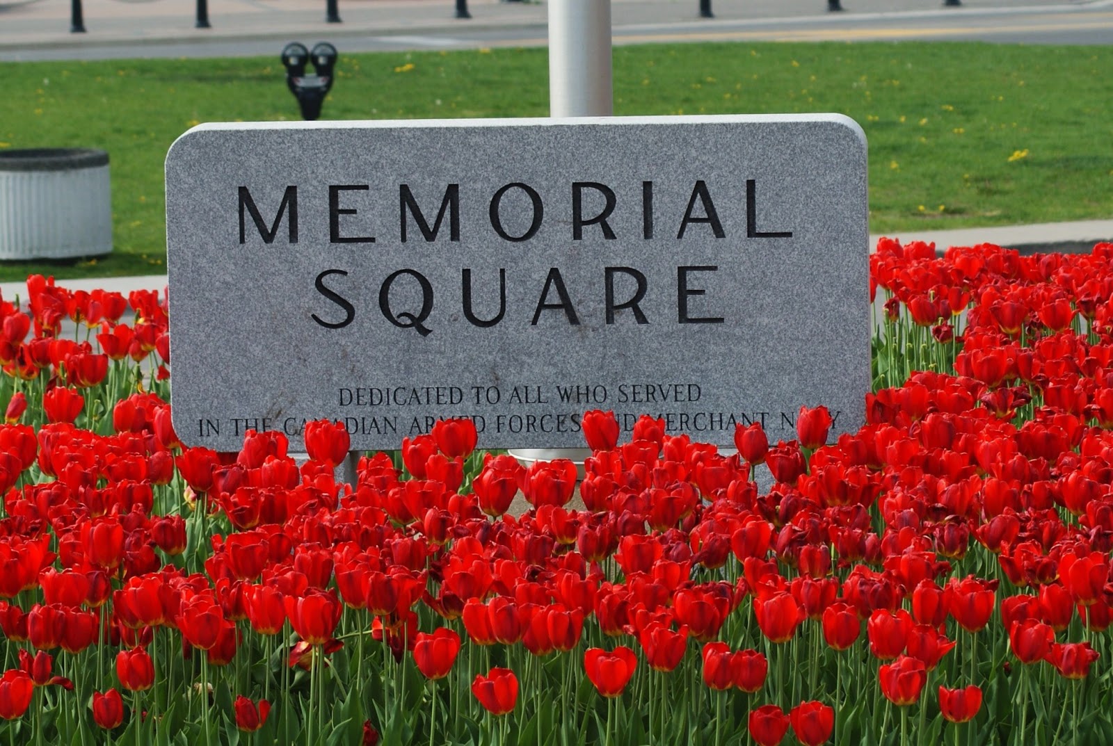 WWI Forgotten Canadian Heroes - Lest We Forget