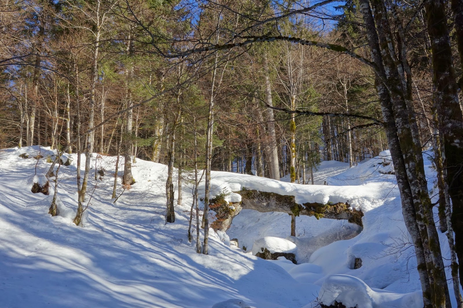 Elsasong: Mijoux, les environs